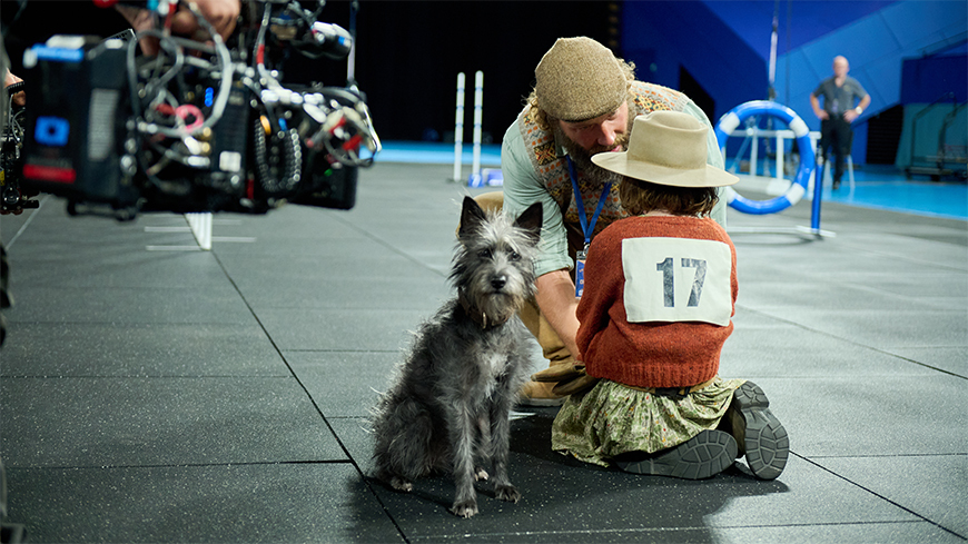 Meet Squid, the rescue dog starring in Runt - ACTF Education